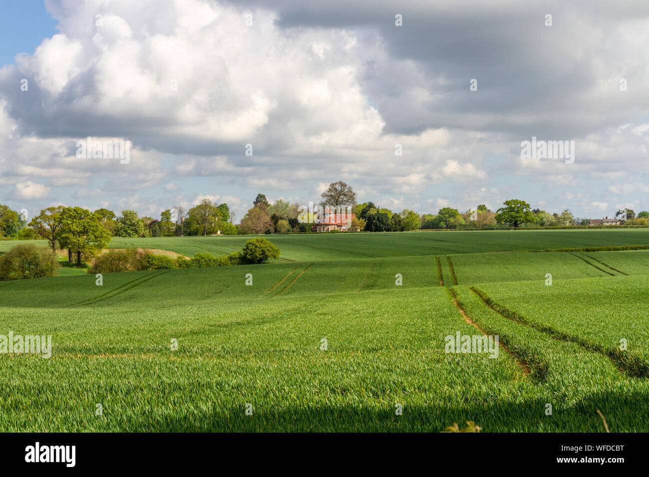 Petit saint baptiste Banque de photographies et d’images à haute ...