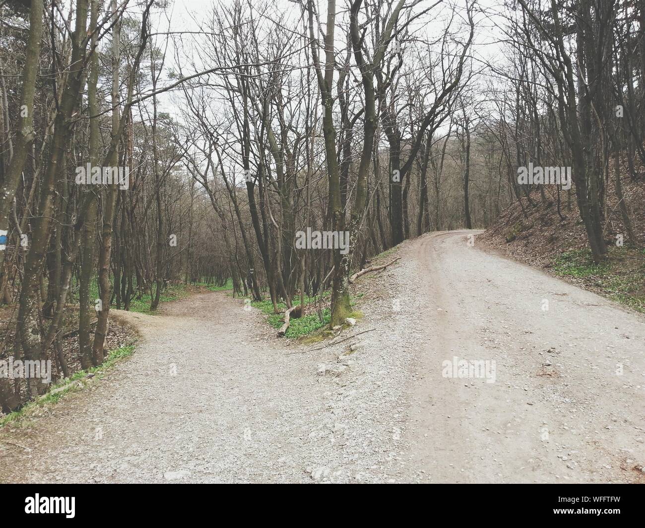 Fork in road Banque de photographies et d’images à haute résolution - Alamy
