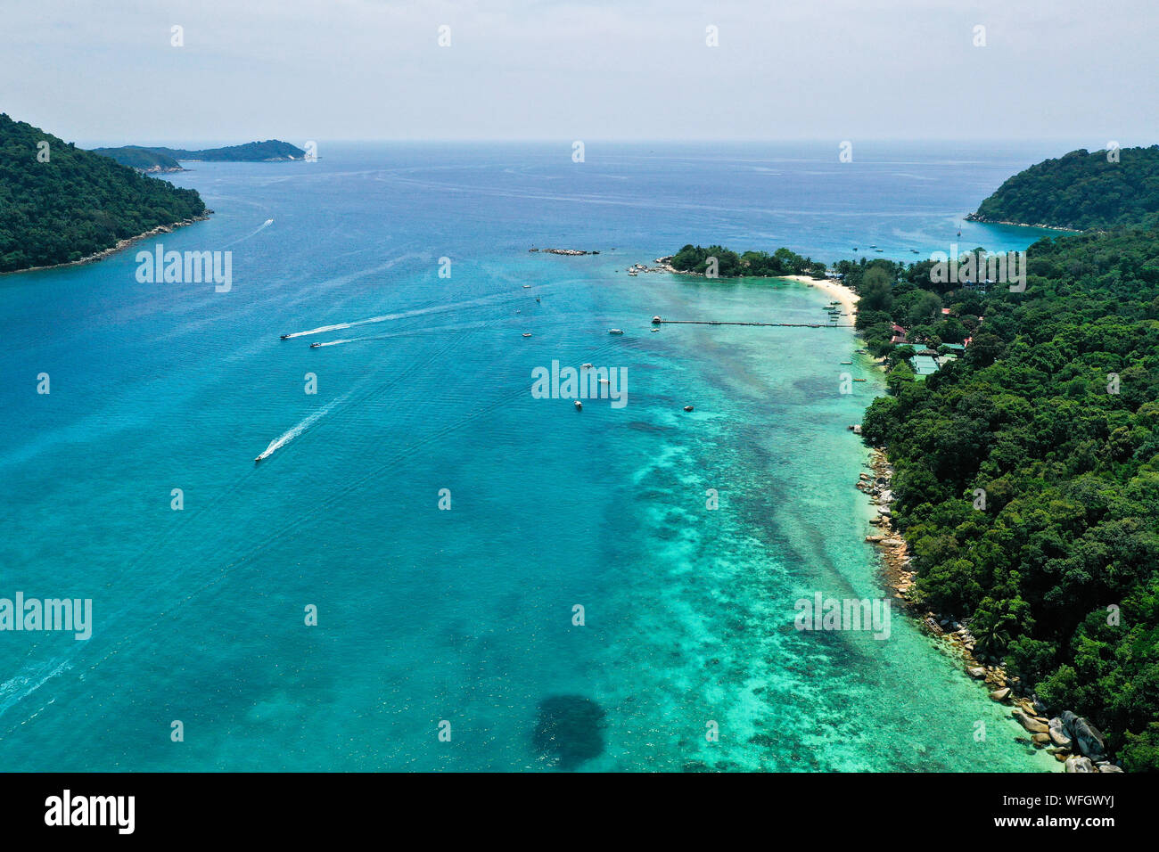 Île de la tortue Banque de photographies et d’images à haute résolution ...