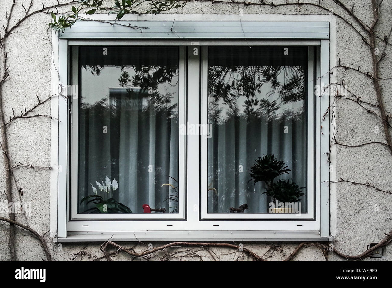 Reflet de la vitrine Banque de photographies et d’images à haute ...