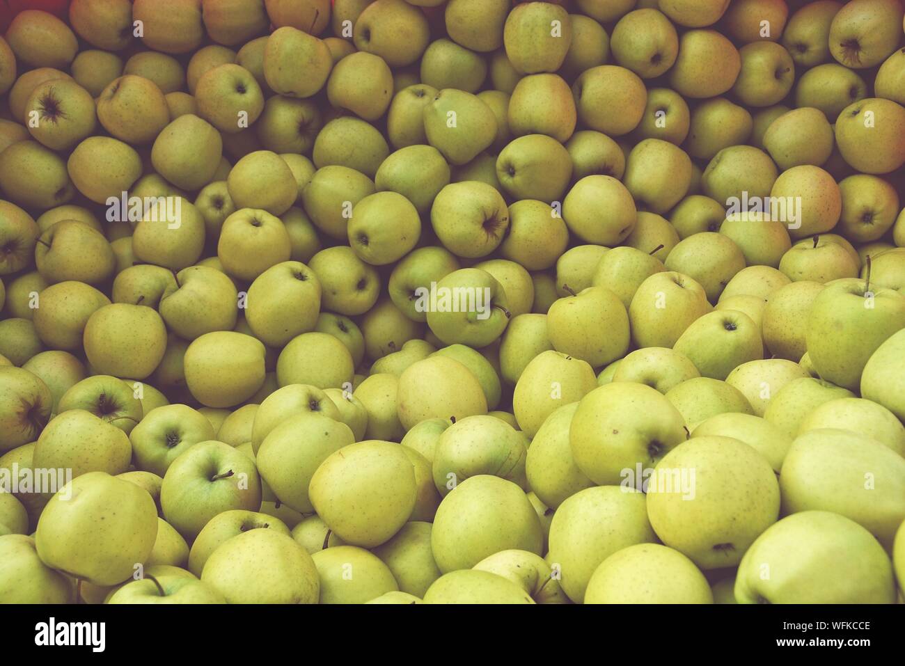 Petites pommes vertes Banque de photographies et d’images à haute ...