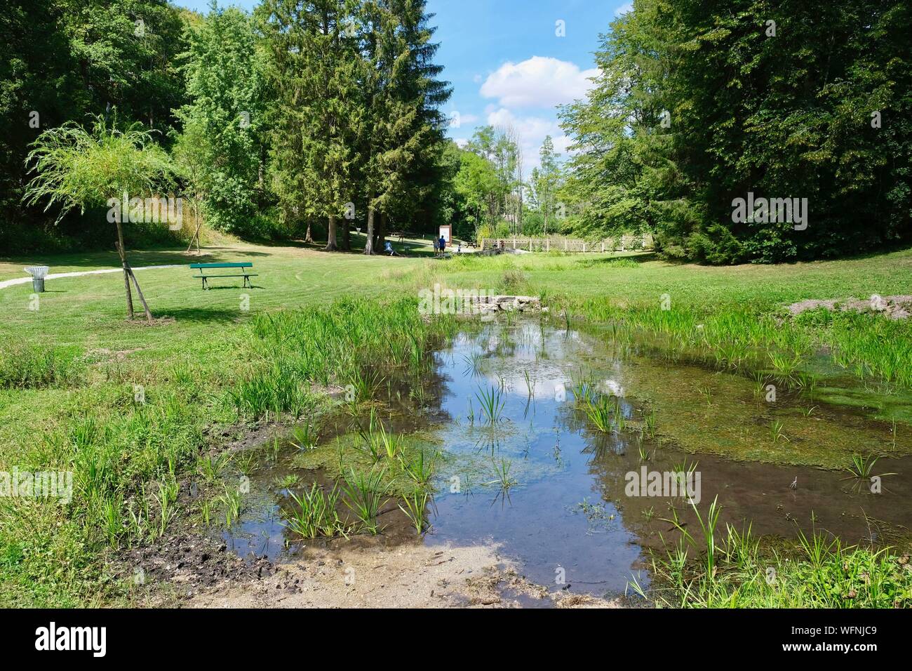 France, Côte d'Or, source seine, site de la sources de la Seine Photo ...