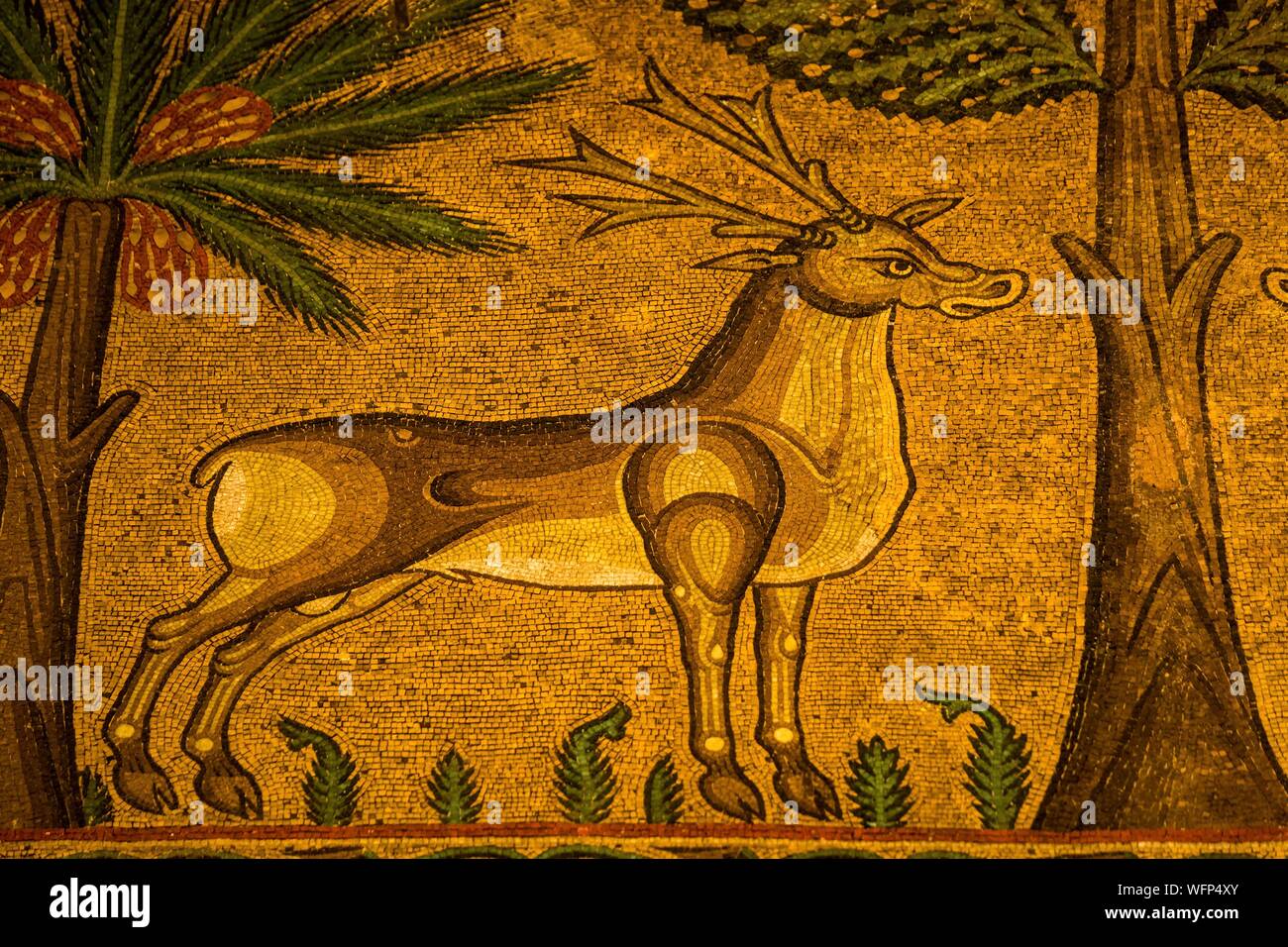 Cerf arabe Banque de photographies et d’images à haute résolution - Alamy