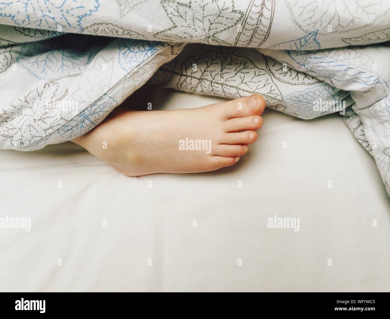 Pied de la personne Banque de photographies et d’images à haute ...