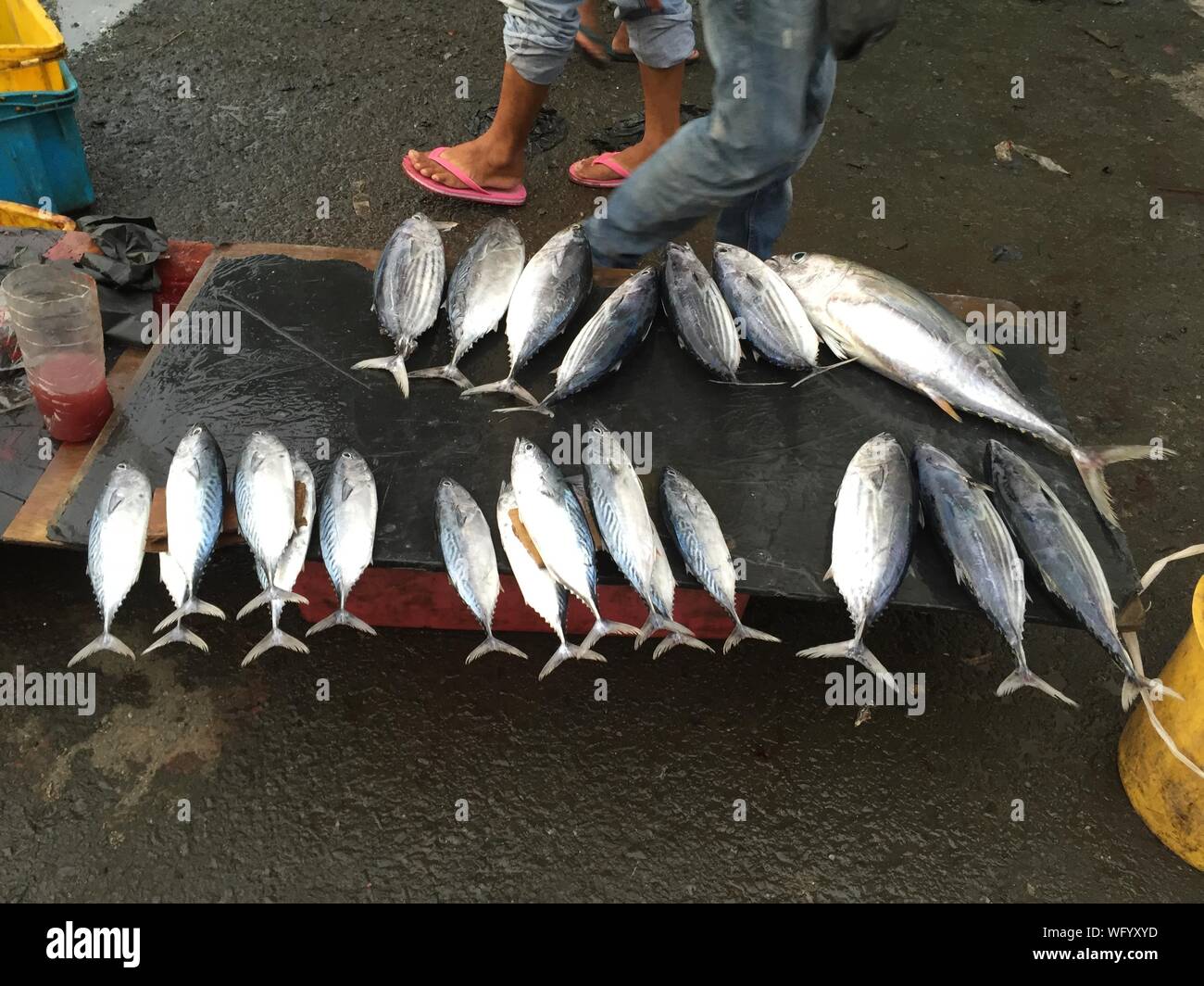 Affichage de l'étal de poisson frais Banque de photographies et d ...