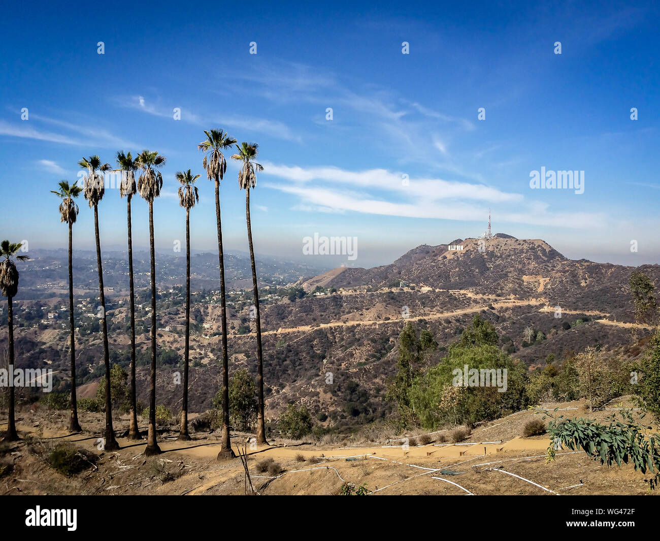 Griffith observatory hollywood sign Banque d'image et photos - Alamy