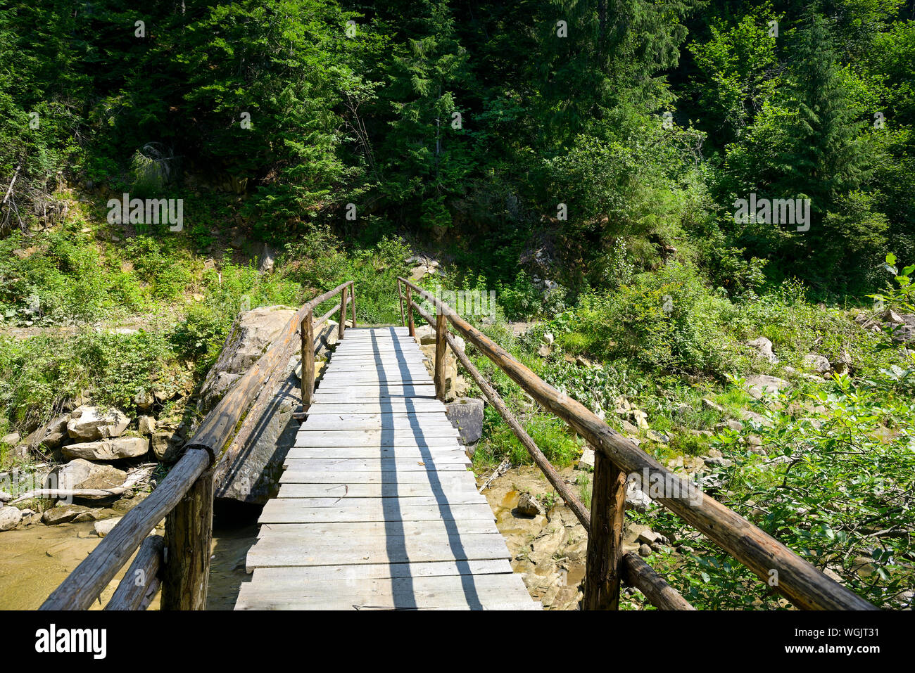 Chemin forestier et pont en bois Banque de photographies et d’images à ...