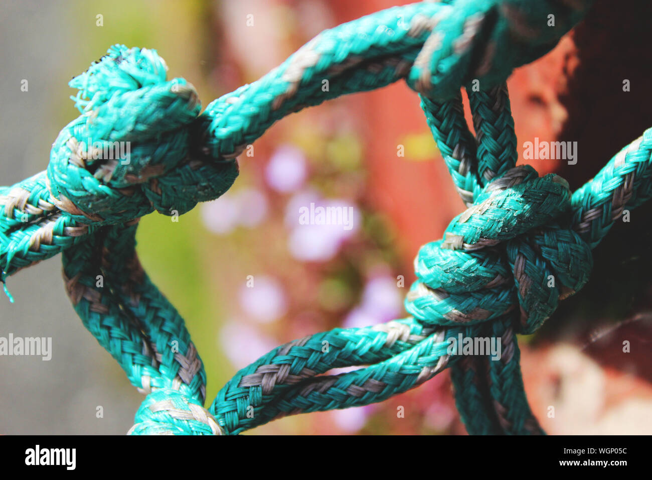 Corde attachée Banque de photographies et d’images à haute résolution ...
