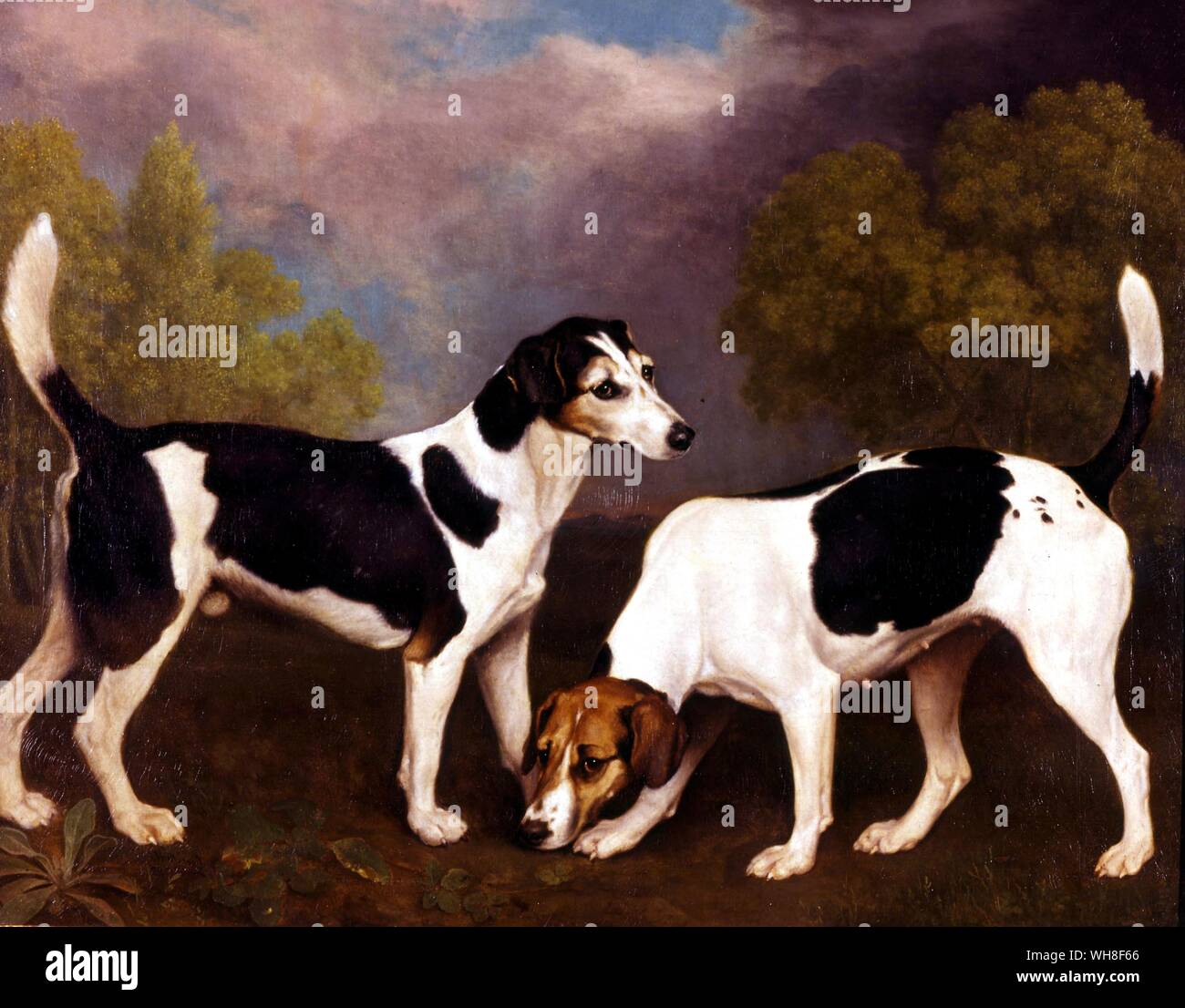 Foxhound et chienne 1792 par George Stubbs (1724-1806). Lord Henry Bentick's Foxhounds avec un ...