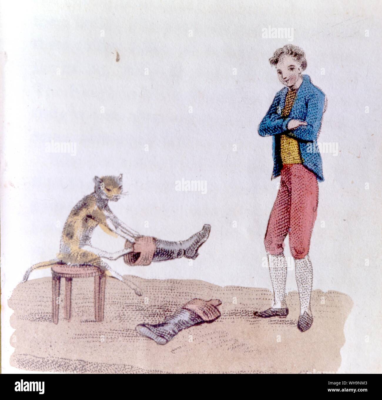 Le chat botté Banque de photographies et d’images à haute résolution ...