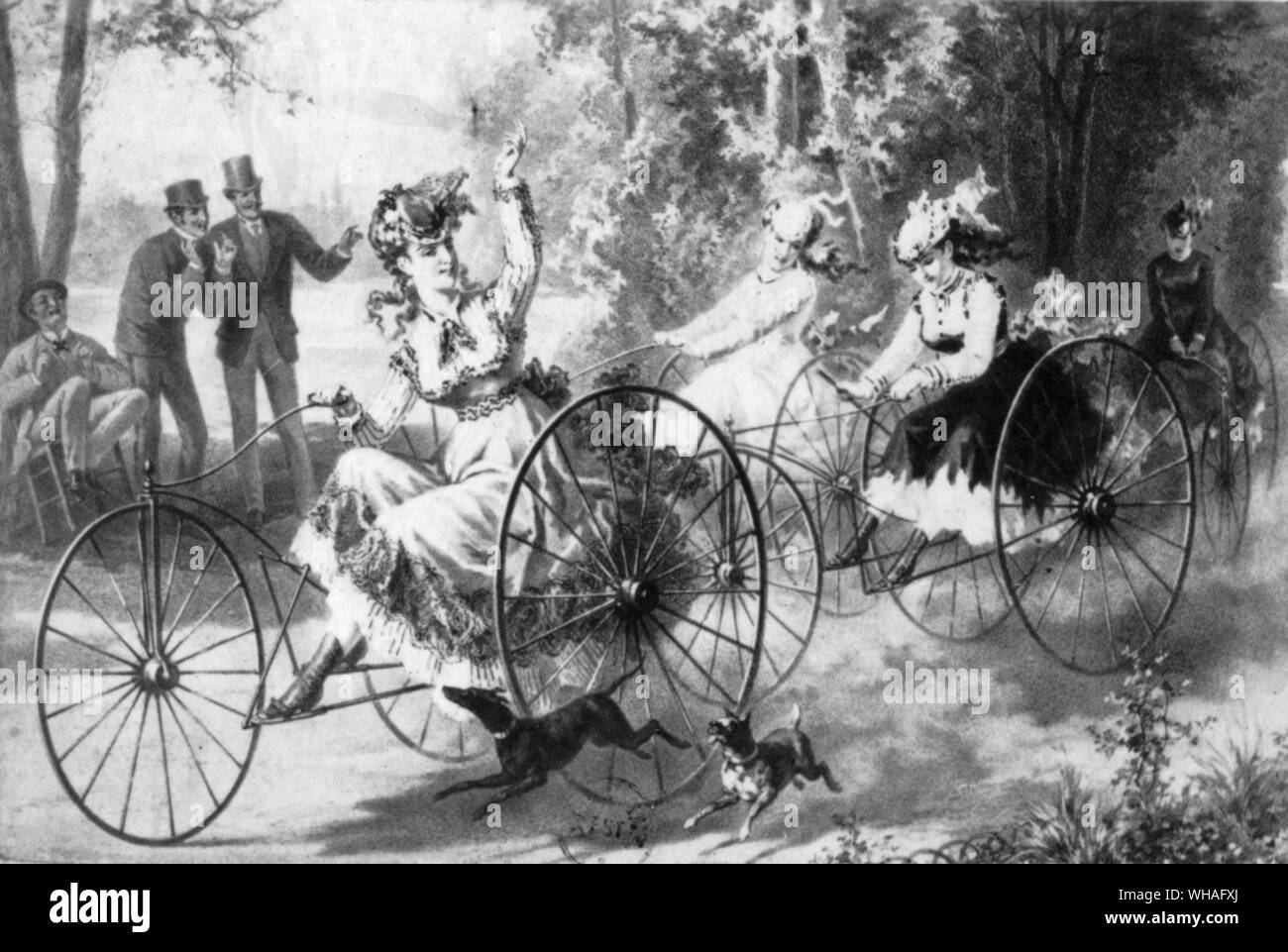 Velocipede ou draisine Banque de photographies et d’images à haute ...
