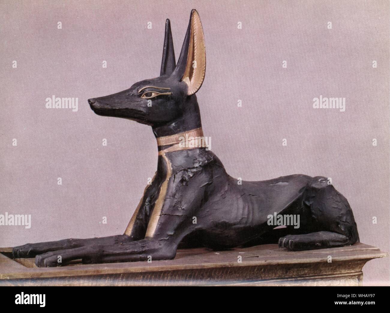 Chien noir de l'égypte ancienne Banque de photographies et d’images à ...