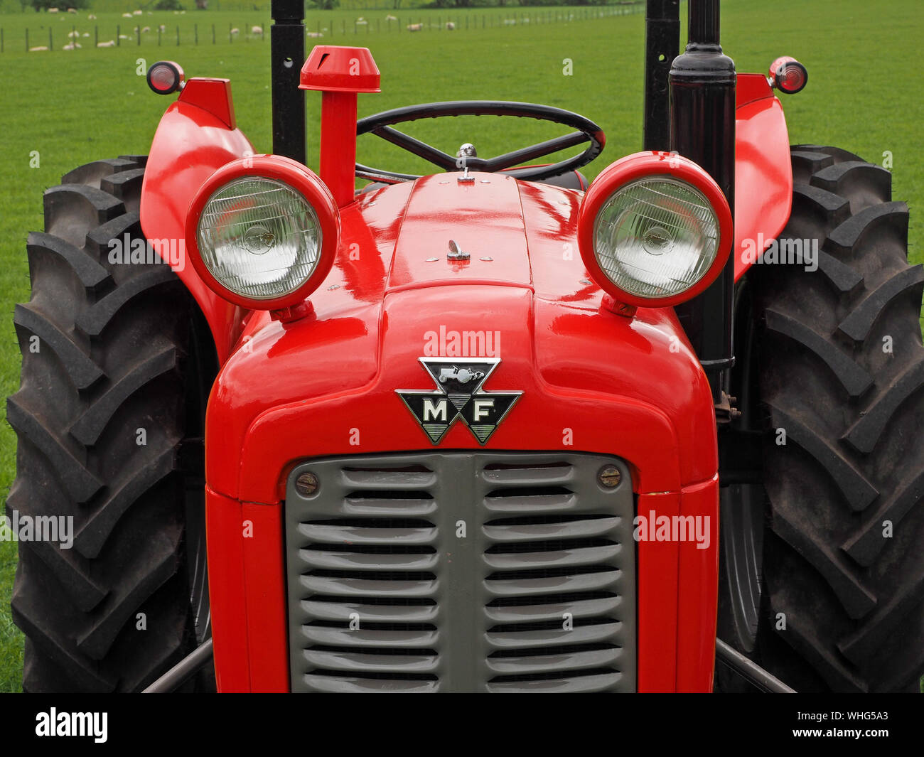 Old massey ferguson tractor Banque de photographies et d’images à haute ...