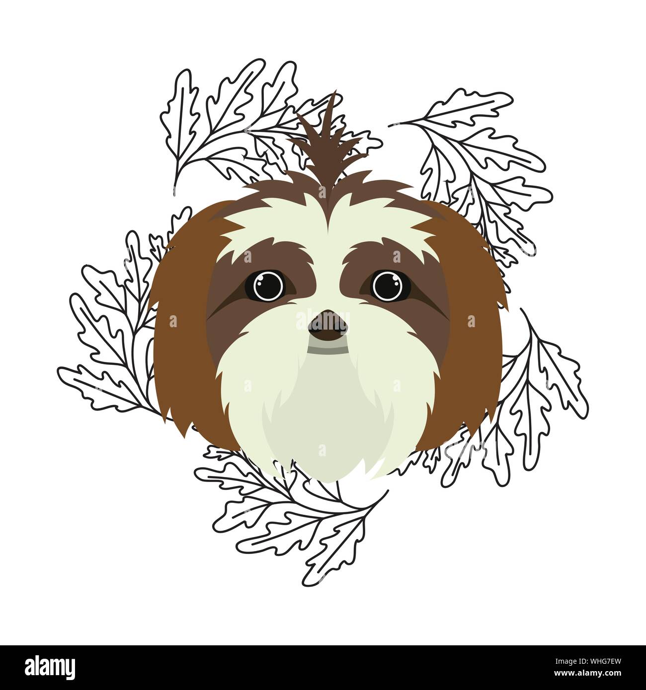 Visage de chien shih tzu Banque d'images vectorielles - Alamy