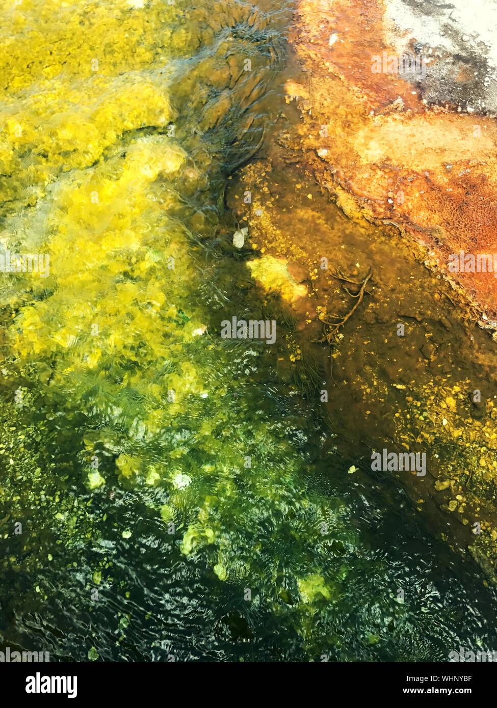 Mer jaune Banque de photographies et d’images à haute résolution - Alamy