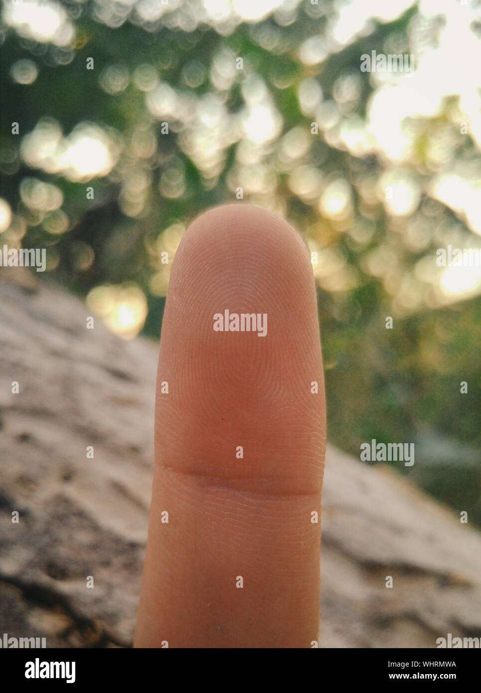 Pointe doigt Banque de photographies et d’images à haute résolution - Alamy