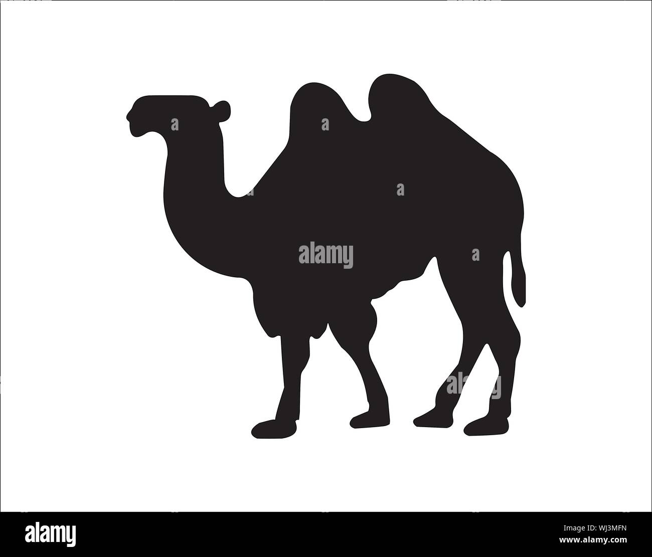 Afrique chameaux Banque d'images noir et blanc - Page 2 - Alamy