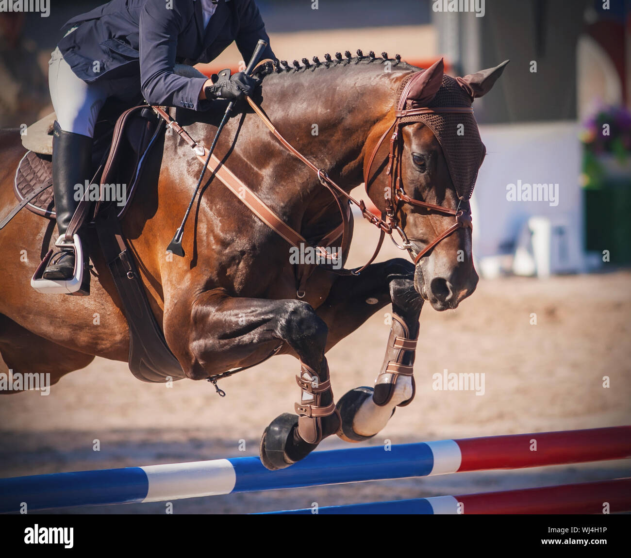 Saut De Haies Saut D'obstacles Banque d'image et photos - Alamy