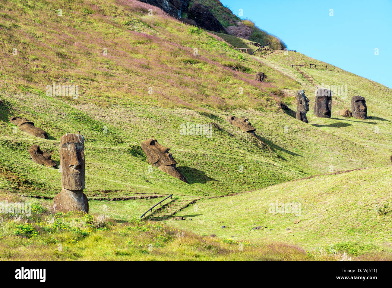 Moai in rano raraku Banque de photographies et d’images à haute ...