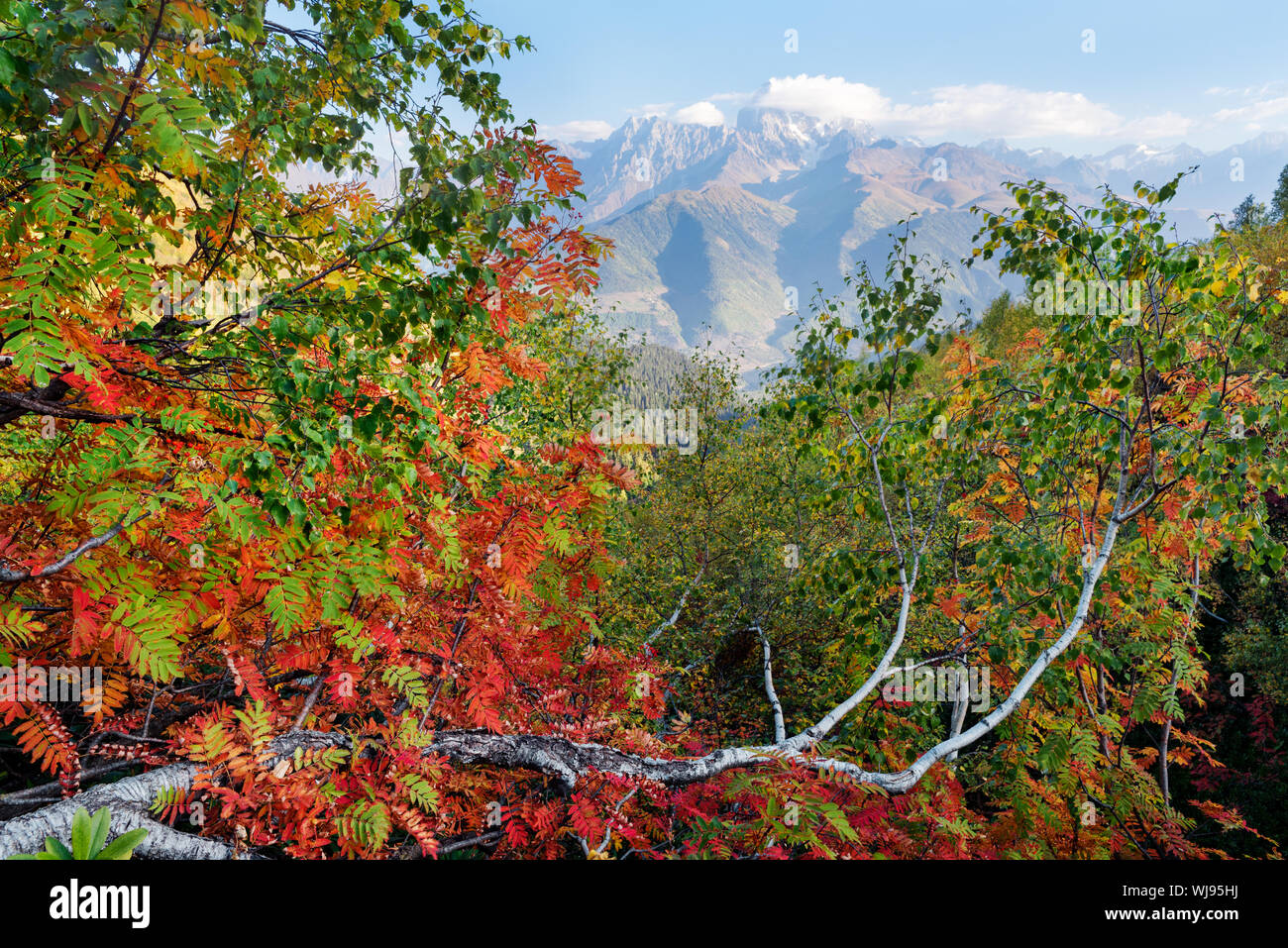 Paysage de montagne en automne Banque de photographies et d’images à ...