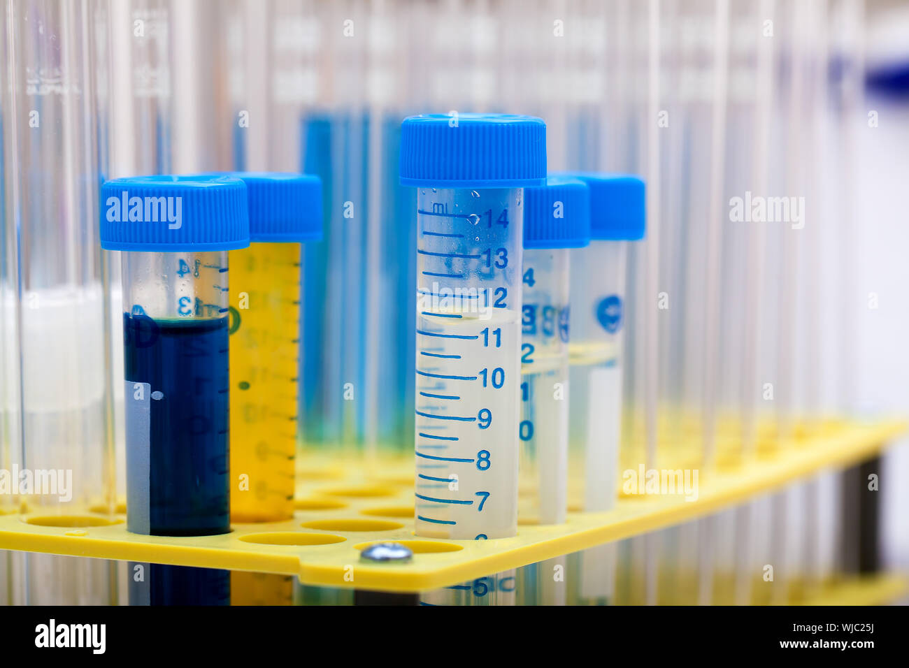 Bactérie e coli Banque de photographies et d’images à haute résolution ...