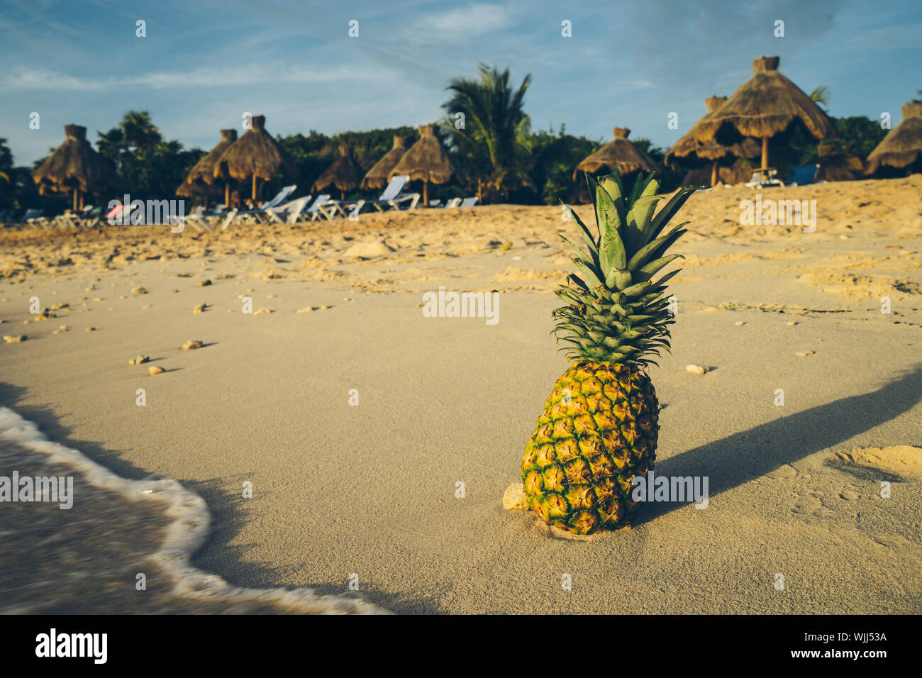 Ananas de plage Banque de photographies et d’images à haute résolution ...