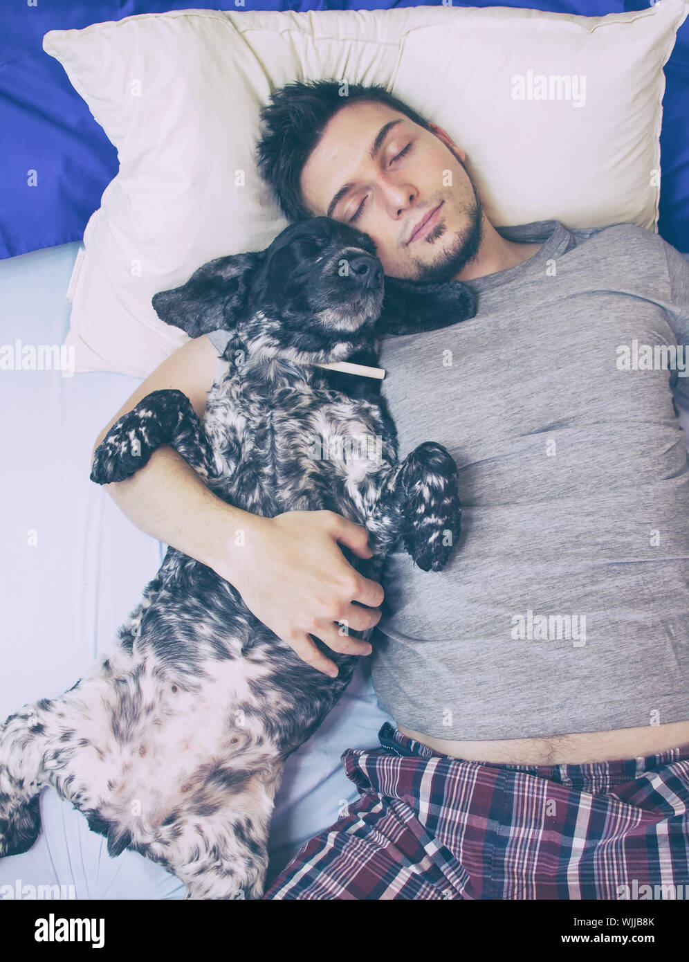 Dog man sleeping bed home bed Banque de photographies et d’images à ...