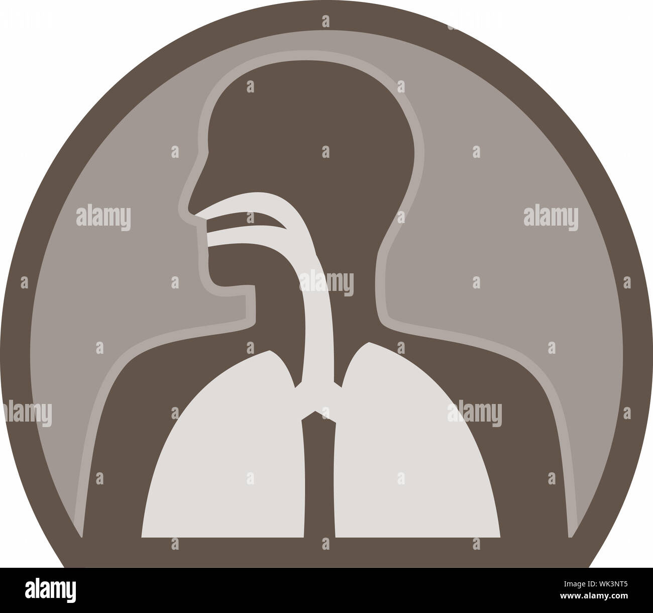 Illustration d'une anatomie humaine figure face montrant organe ...