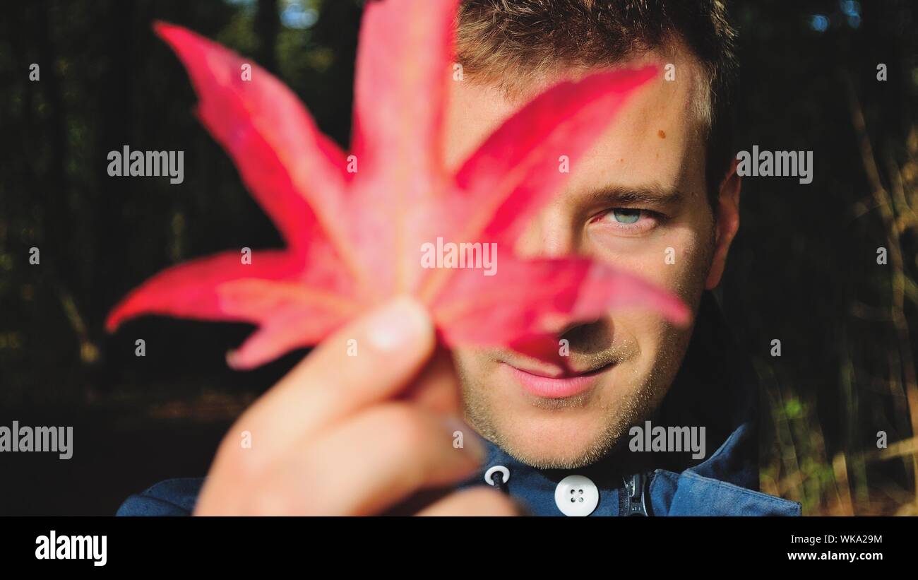 Homme blond yeux vert Banque de photographies et d’images à haute ...