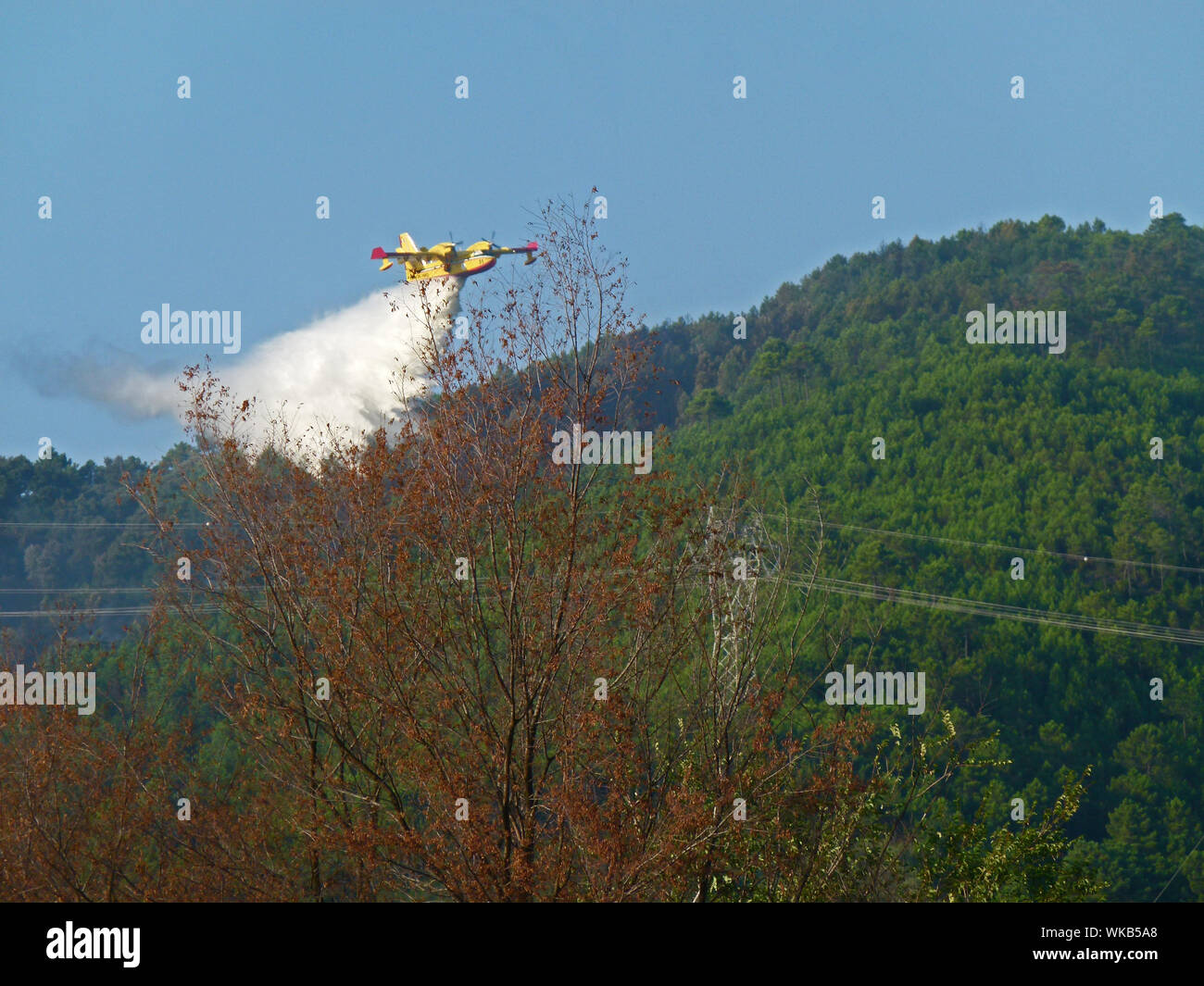 Avion survolant la forêt Banque de photographies et d’images à haute ...