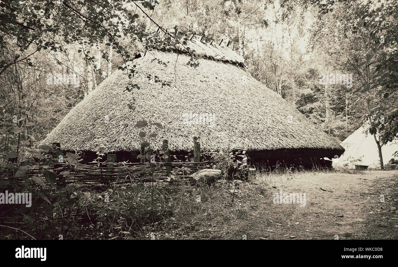 Cabane au toit de chaume Banque de photographies et d’images à haute résolution - Alamy