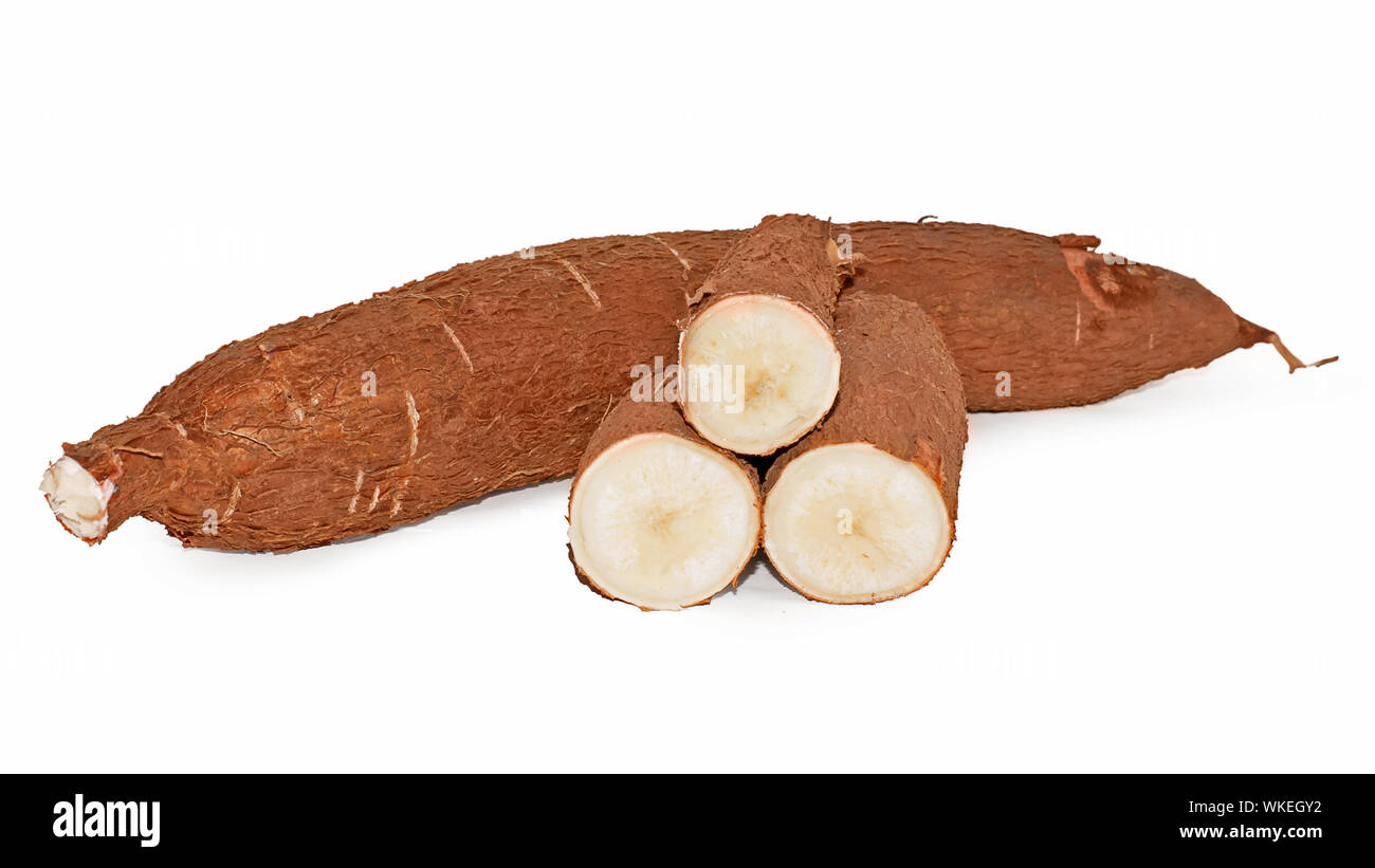 Racine de tapioca ou manioc Banque de photographies et d’images à haute ...