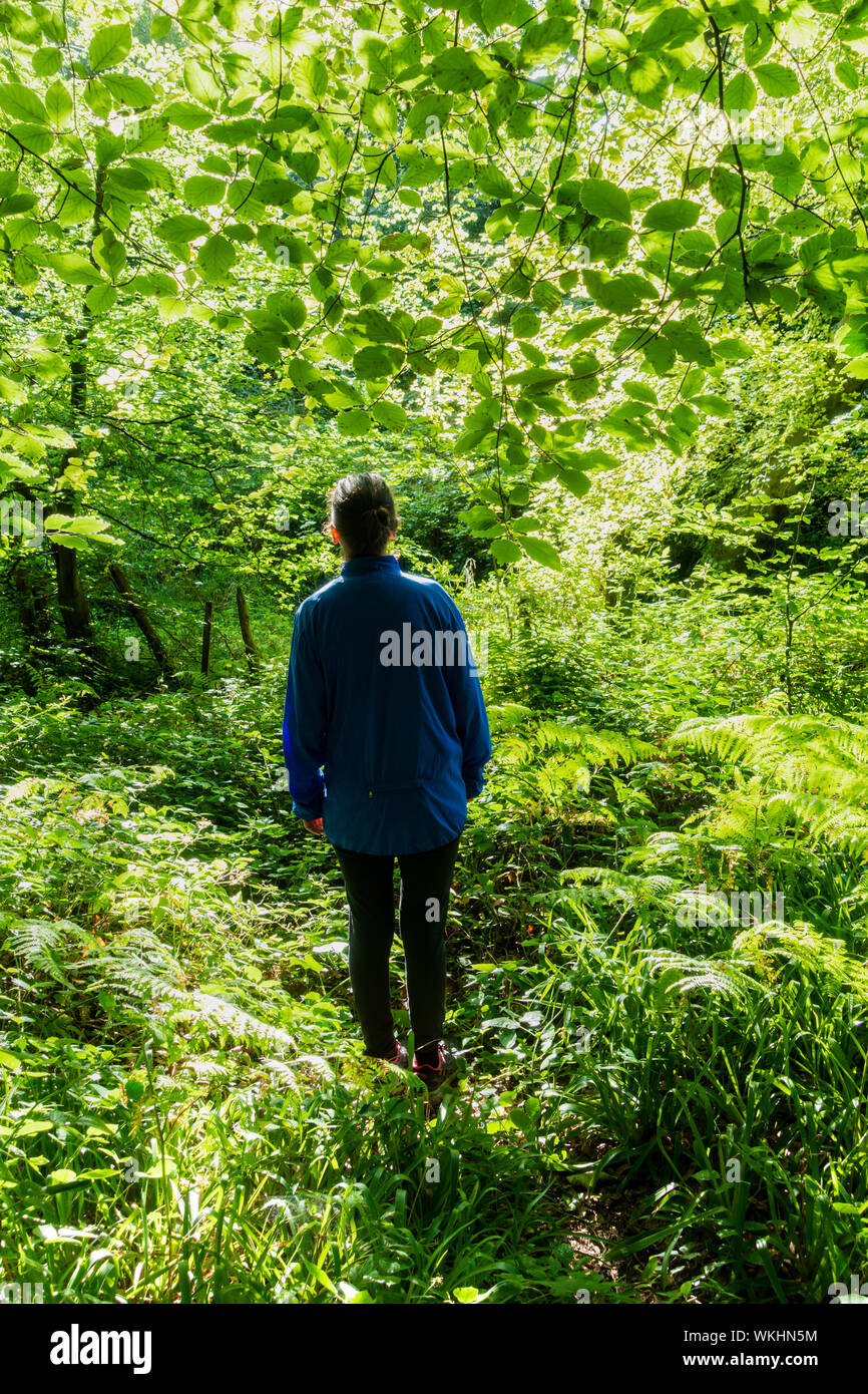 Shinrin yoku Banque de photographies et d’images à haute résolution - Alamy