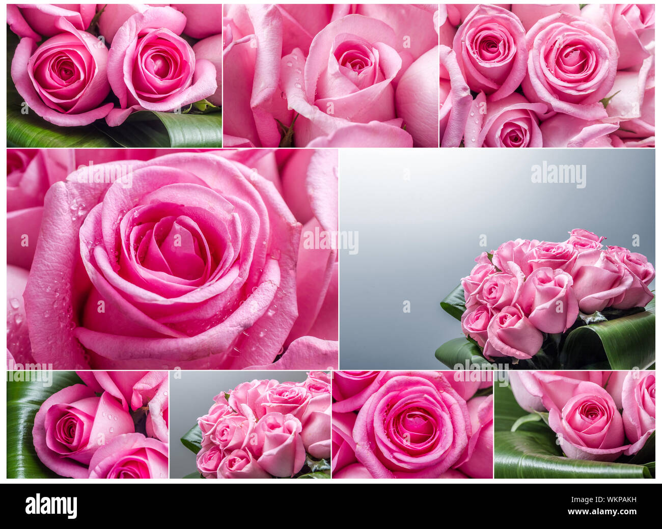Belles images de roses d'amour Banque de photographies et d’images à ...