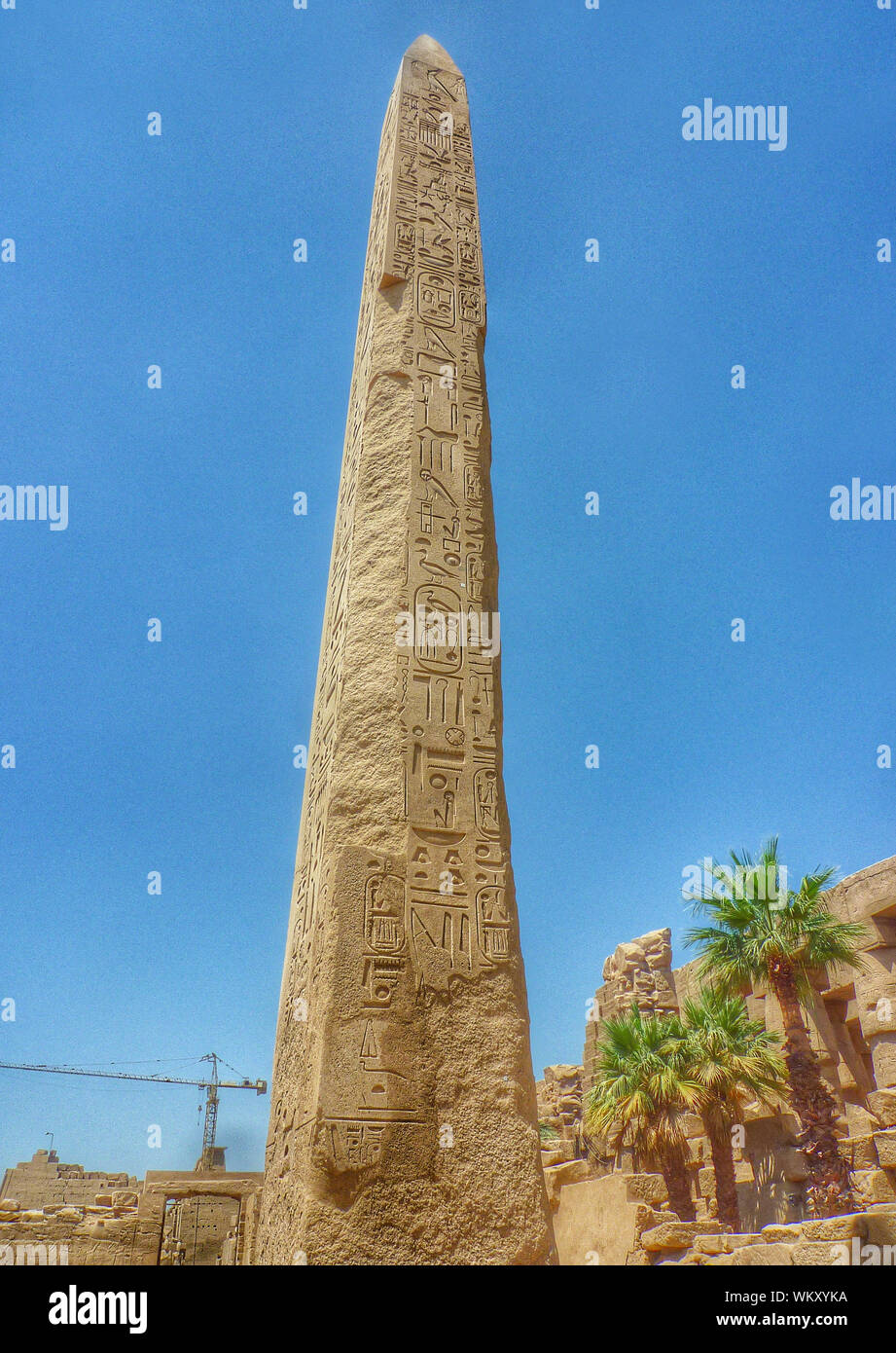 Egyptian hieroglyphics tree Banque de photographies et d’images à haute ...