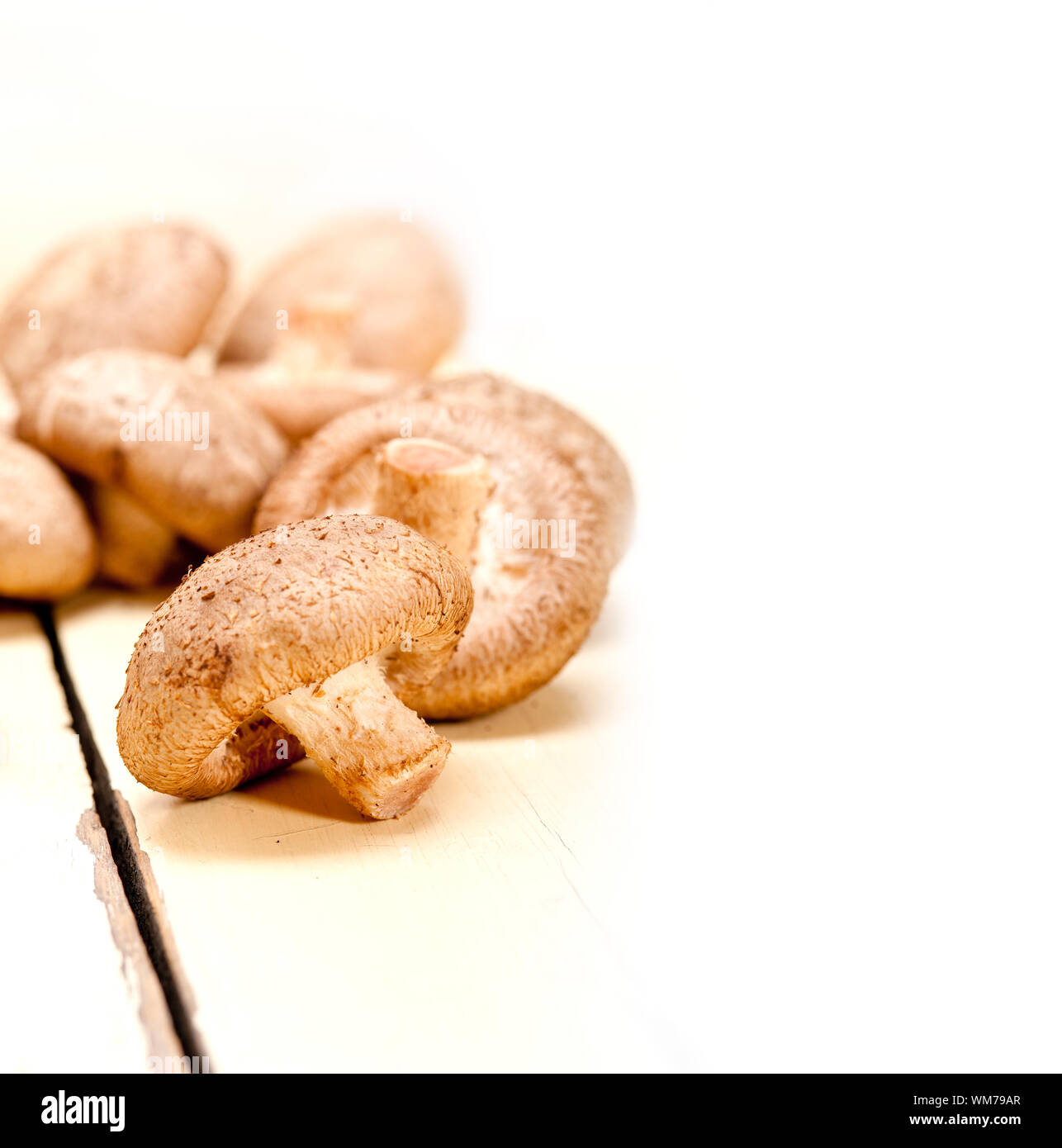 Champignon shiitake noir Banque de photographies et d’images à haute ...