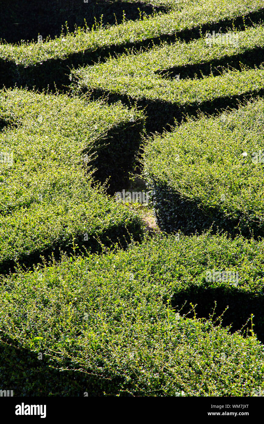 Bush labyrinth Banque de photographies et d’images à haute résolution ...