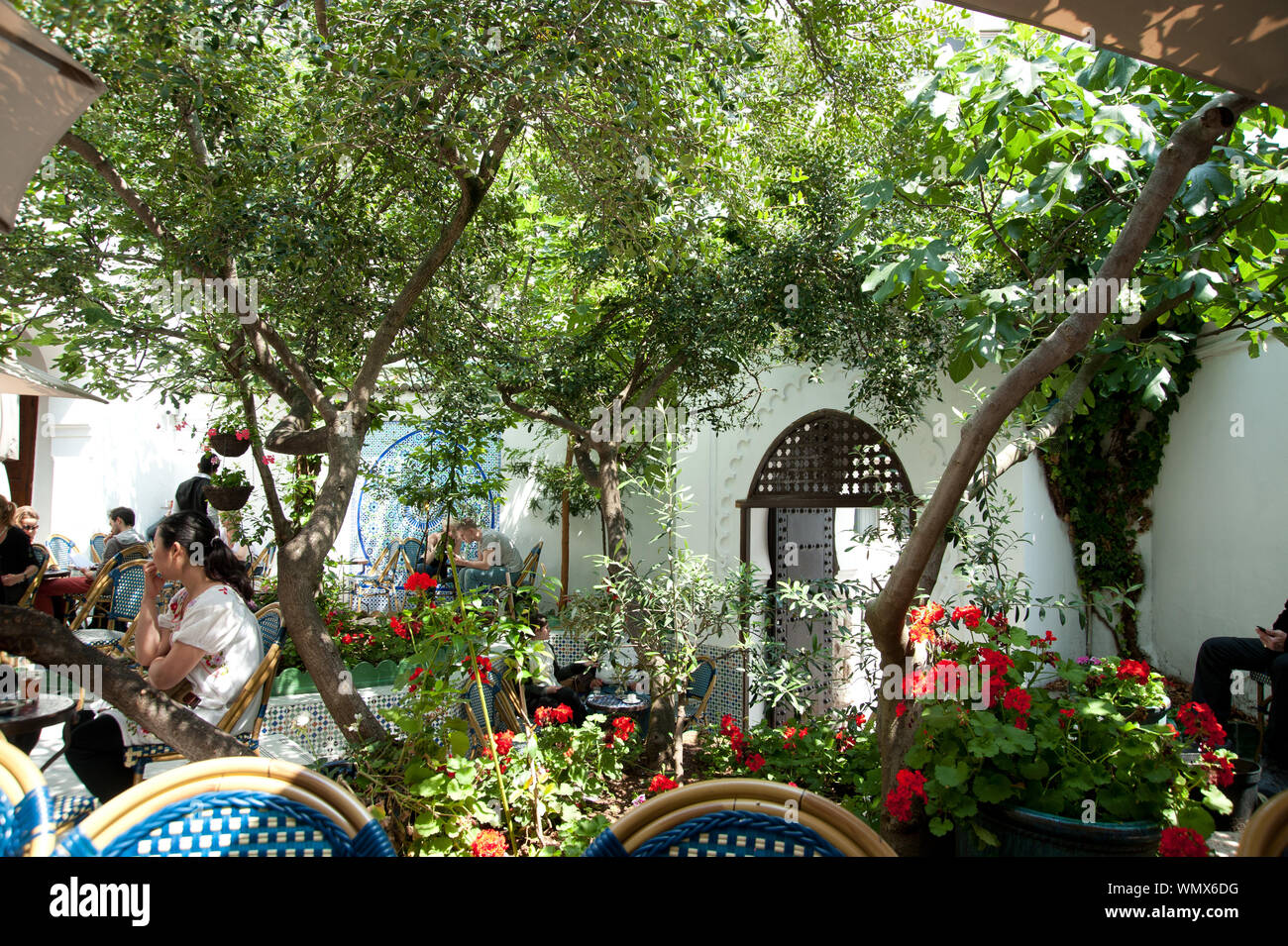 Mosquée de paris café Banque de photographies et d’images à haute ...