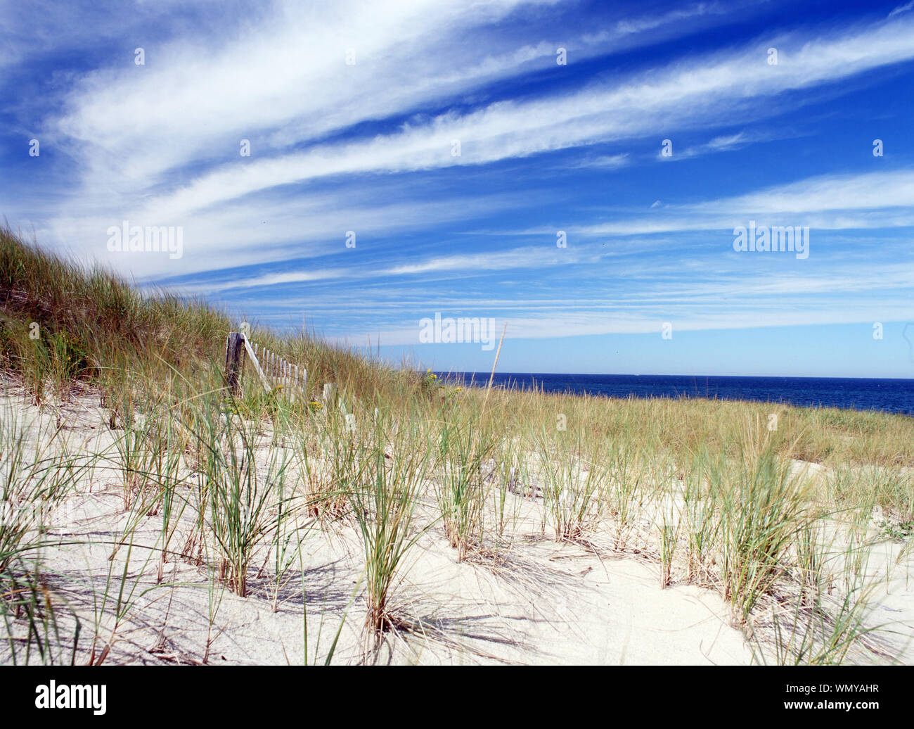 Plage de bord de mer national cape cod Banque de photographies et d ...