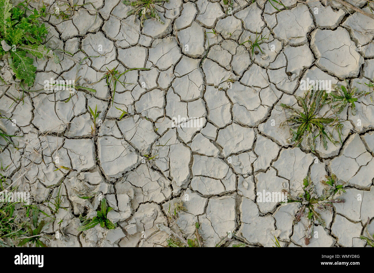 Le sol craquelé par la sécheresse, arides et sèches Photo Stock - Alamy