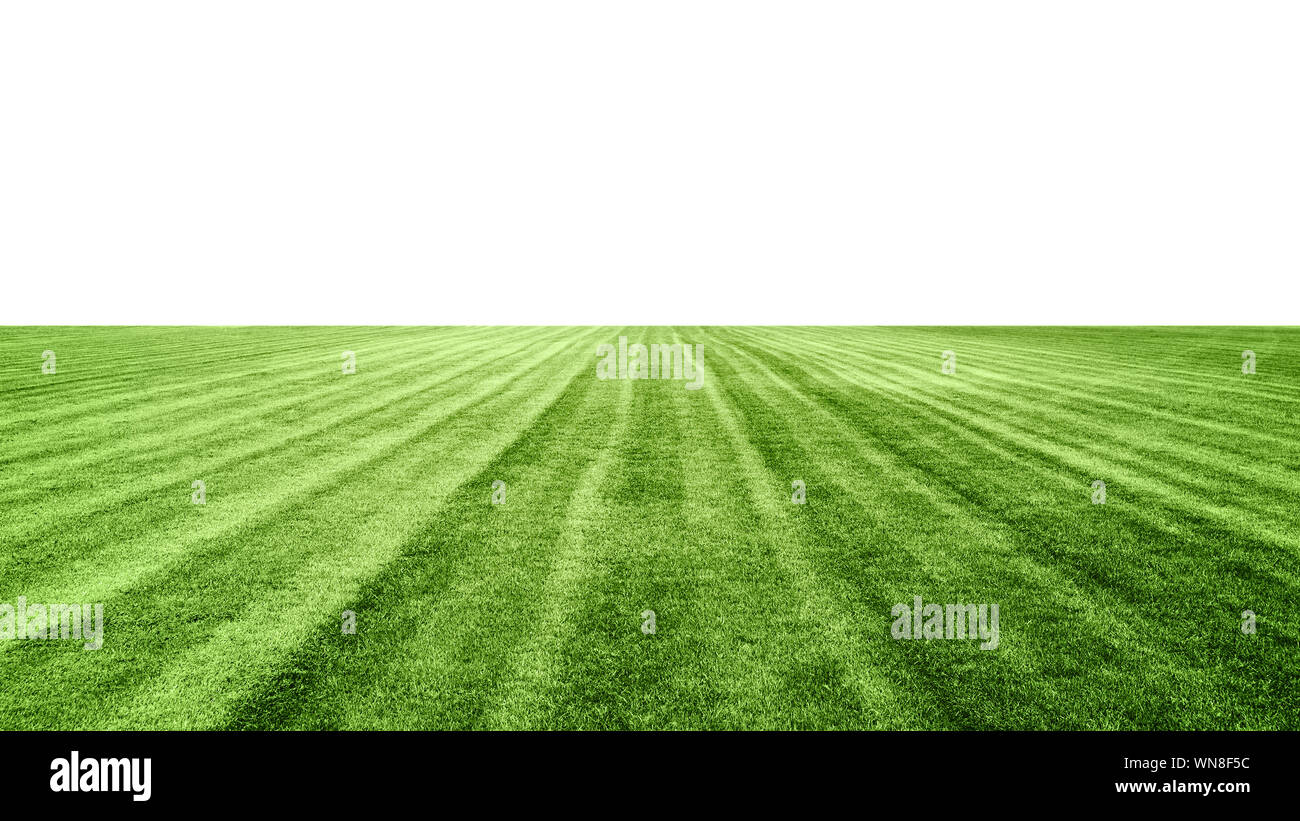 Paysage de terrain de football Banque de photographies et d’images à ...