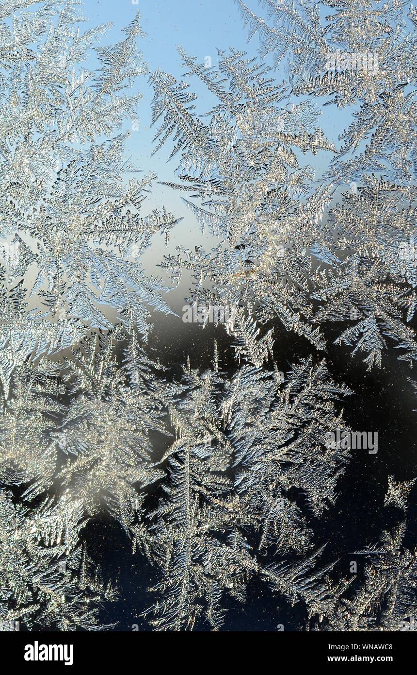 Flocons de givre blanc le givre sur la vitre de la fenêtre macro. Glace ...