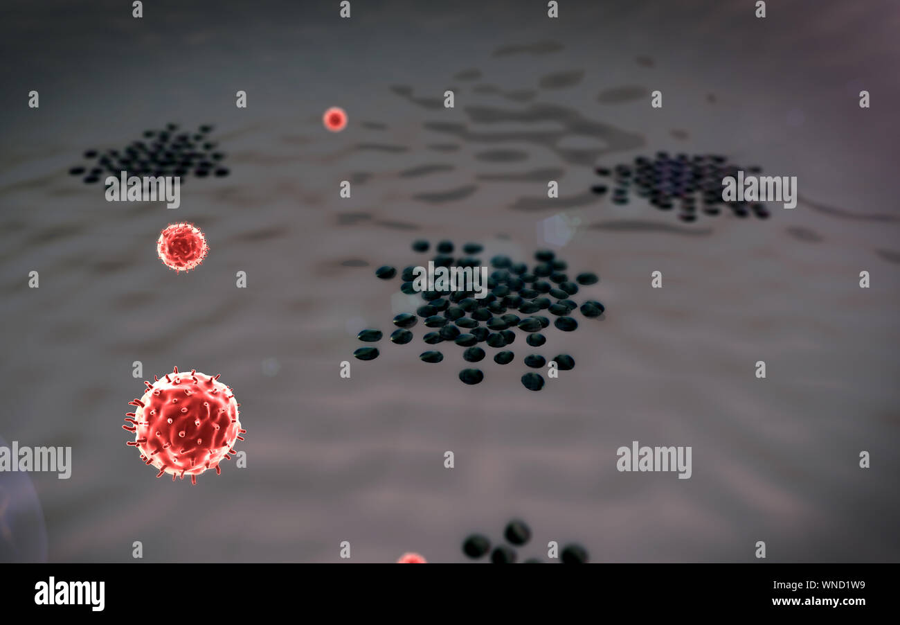 Lymphocyte et macrophage image Banque de photographies et d’images à ...