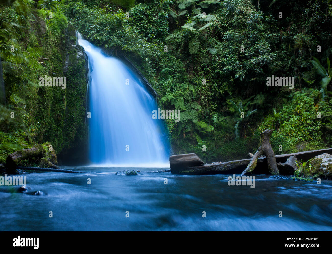 Cascade dans la jungle tropicale Banque de photographies et d’images à ...