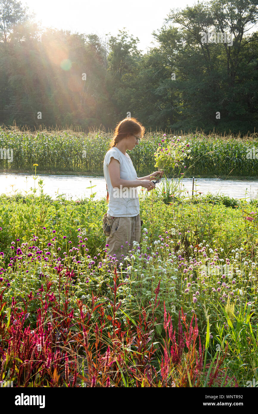 Fleurs femelles dans ses cheveux Banque de photographies et d’images à ...