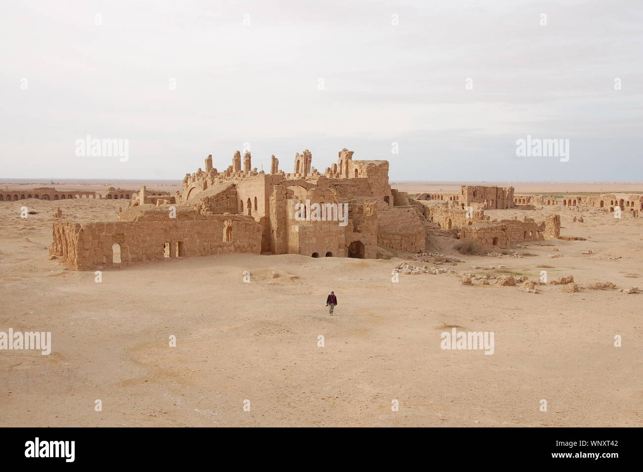 Resafa ancient sergiopolis syria Banque de photographies et d’images à ...