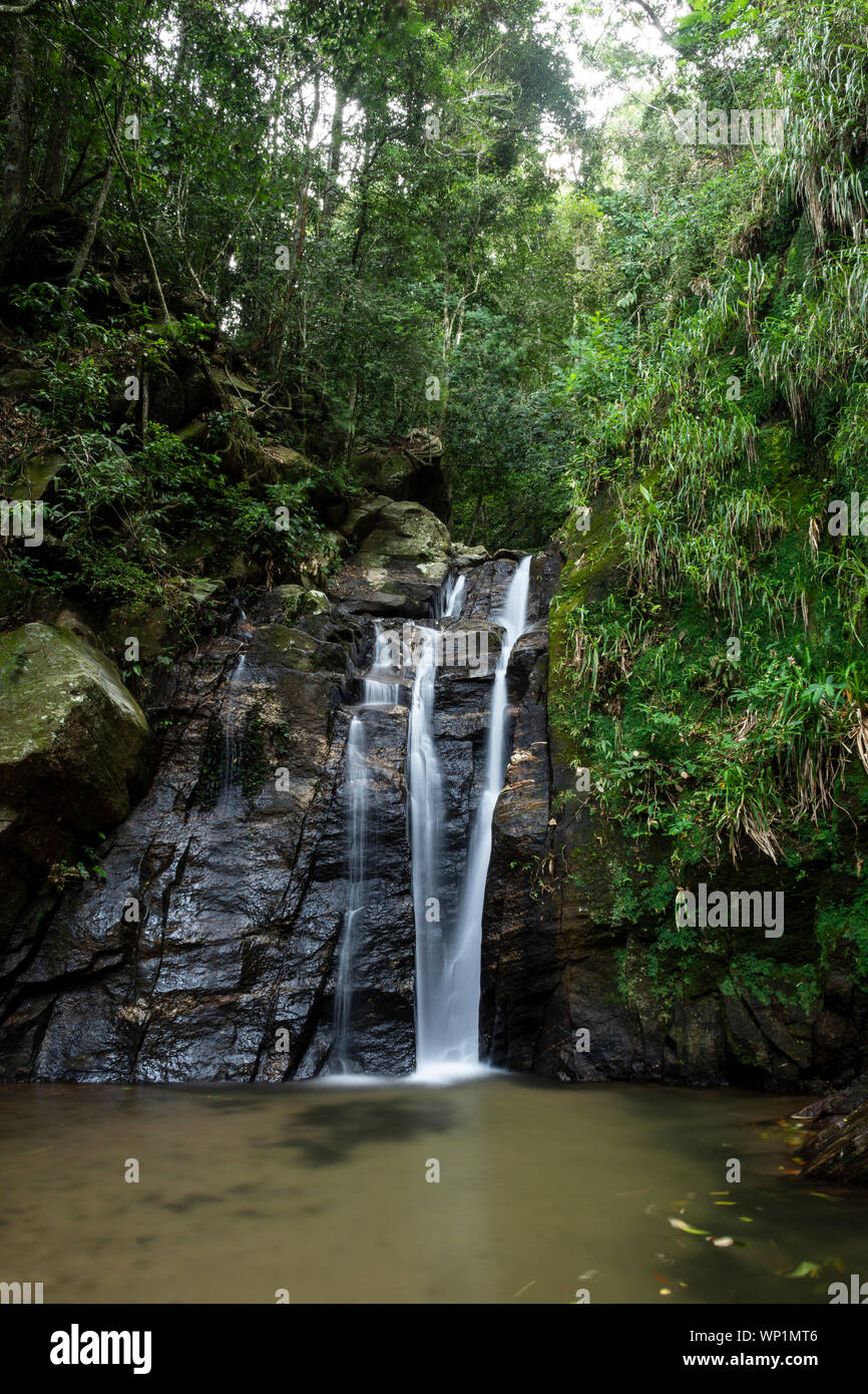 Cachoeira do chuveiro Banque de photographies et d’images à haute ...