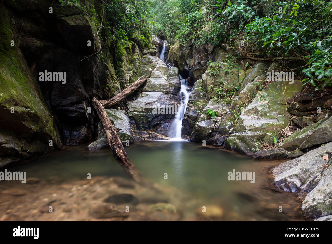 Cascade dans la forêt de tijuca Banque de photographies et d’images à ...
