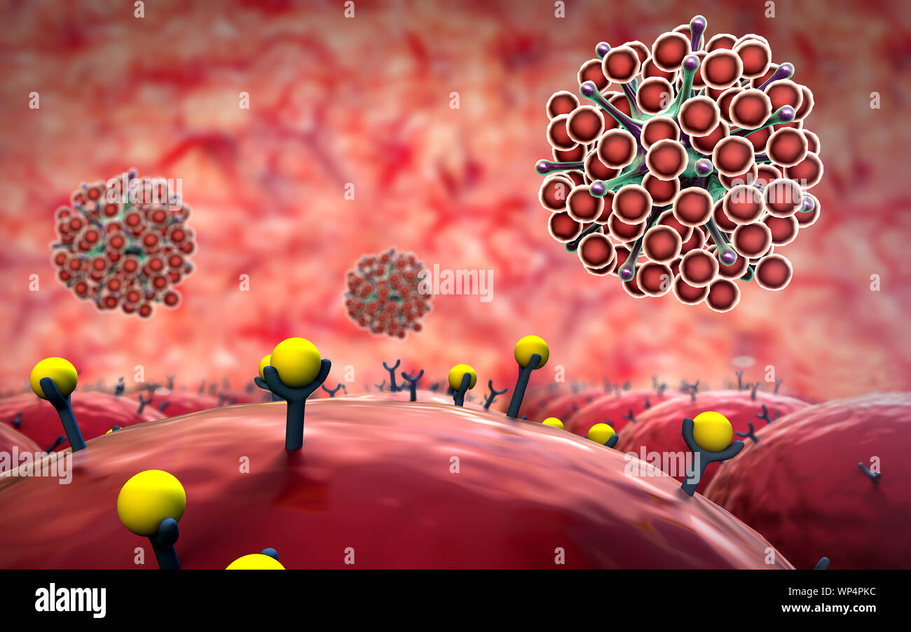 Cancer Des Globules Blancs Banque d'image et photos - Alamy