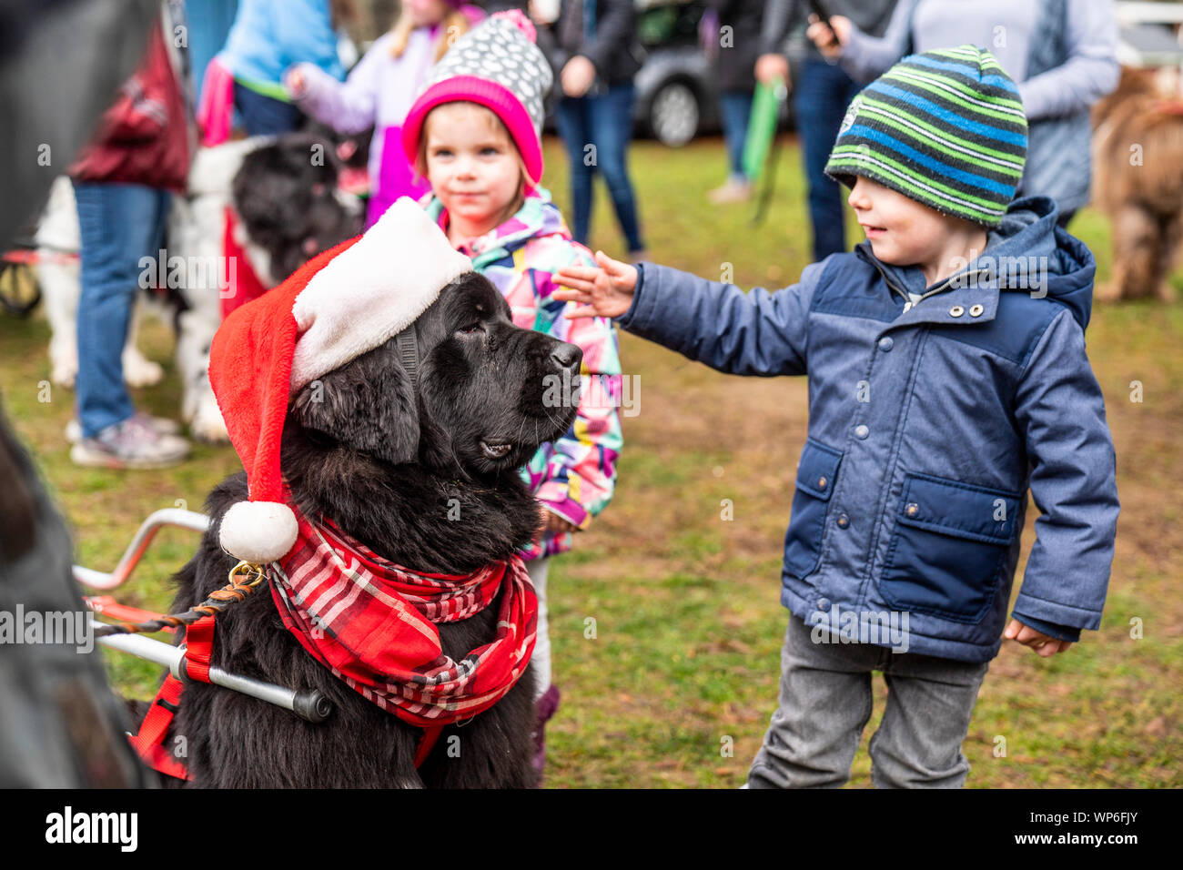 Enfants qui travaillent Banque de photographies et d’images à haute ...